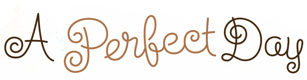 A Perfect Day | Lane Smith