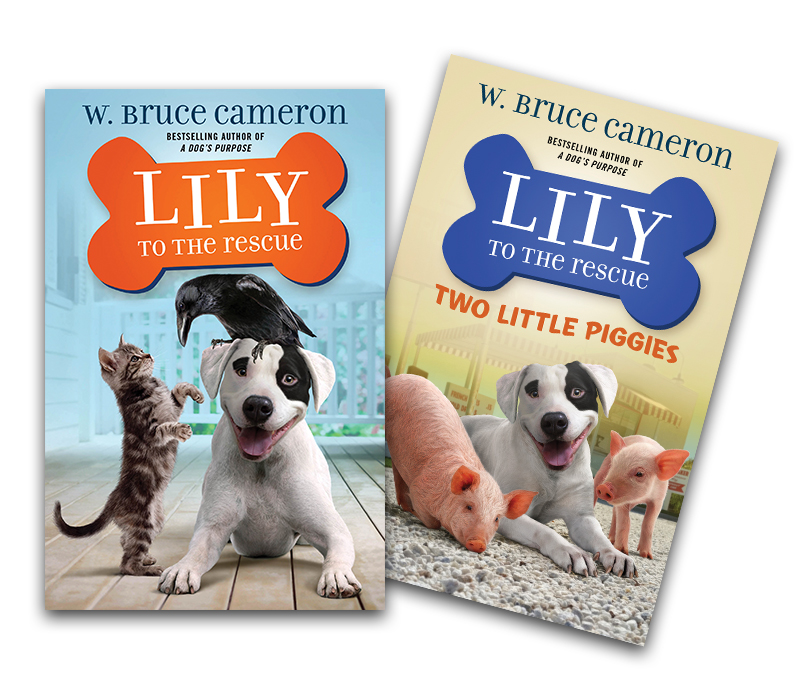 The Lily to the Rescue Sweepstakes