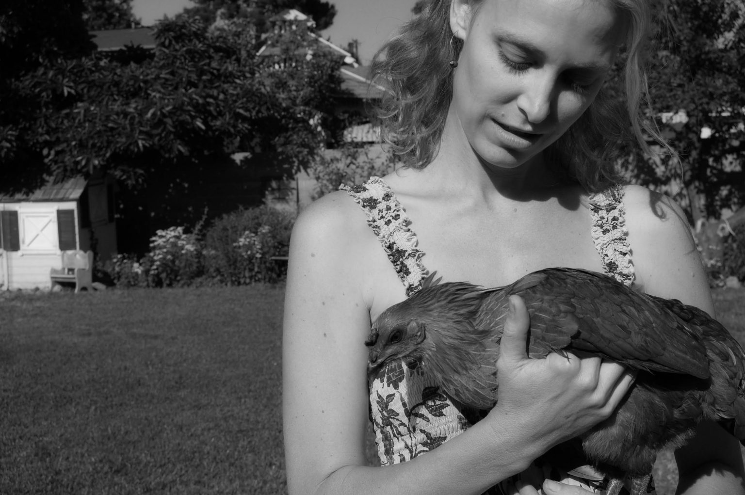 Starla Jean | Elana K. Arnold; illustrated by A. N. Kang