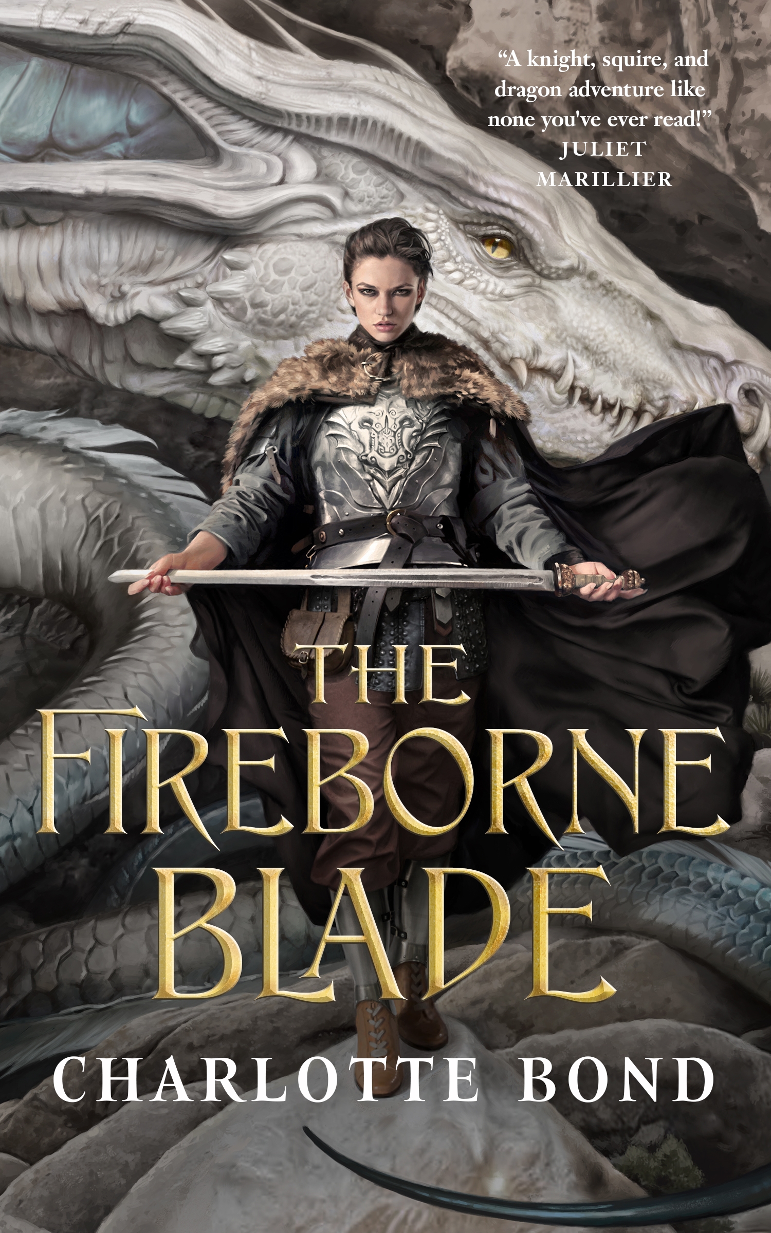 The Fireborne Blade Shelf Awareness Pro Sweepstakes