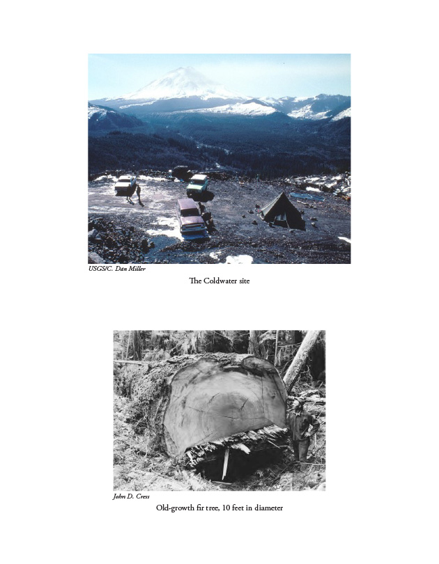 mountain-of-fire-page-5